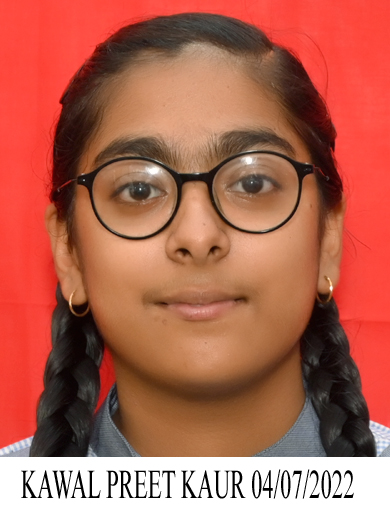 CBSE Toppers XIIth Class :: St Mary's Sr. Sec. School, Jwalapur